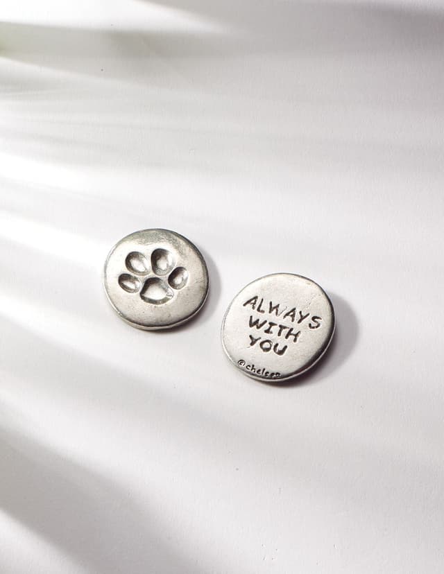 Pewter Paw Coin