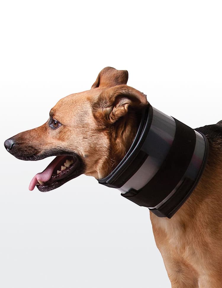Pet E-Collars