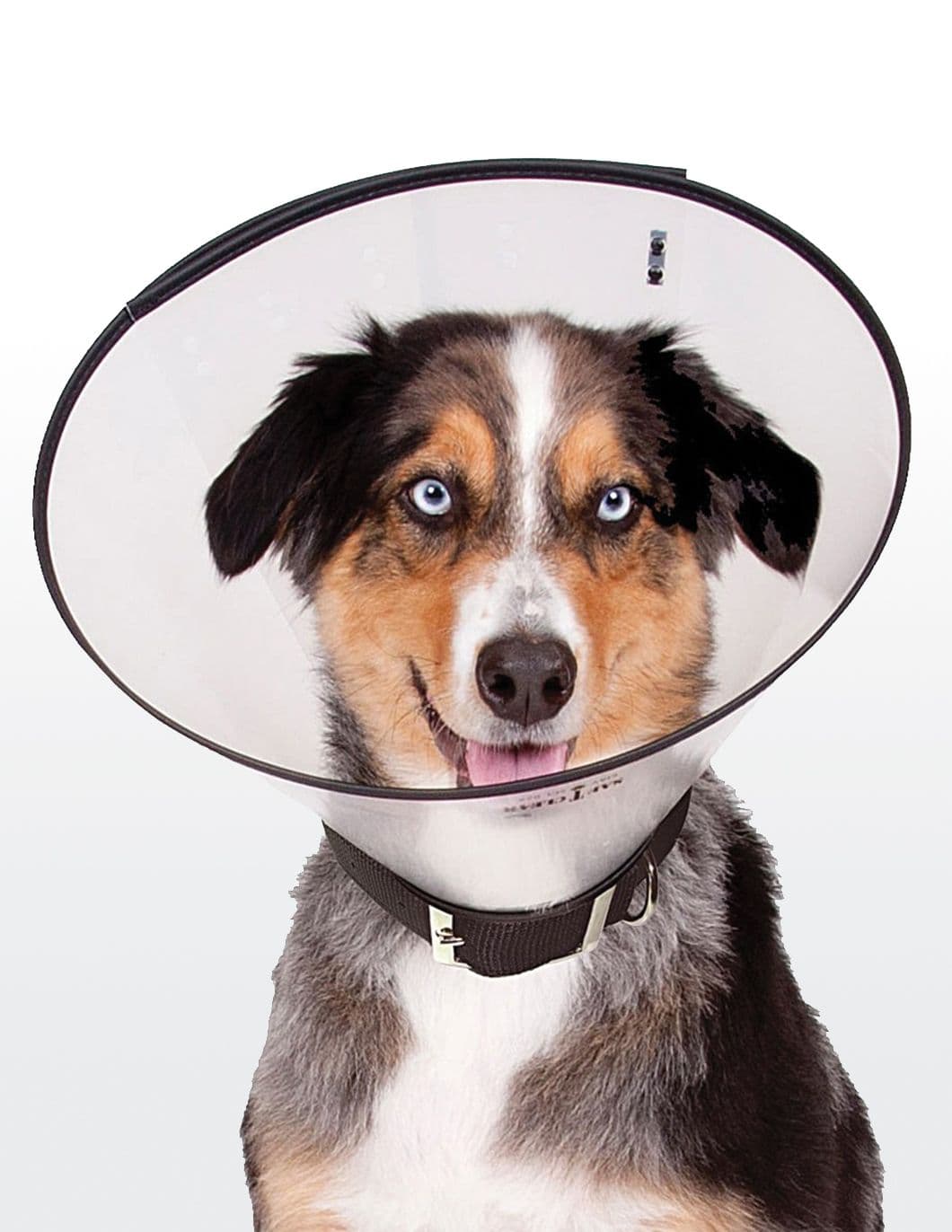 Pet E-Collars