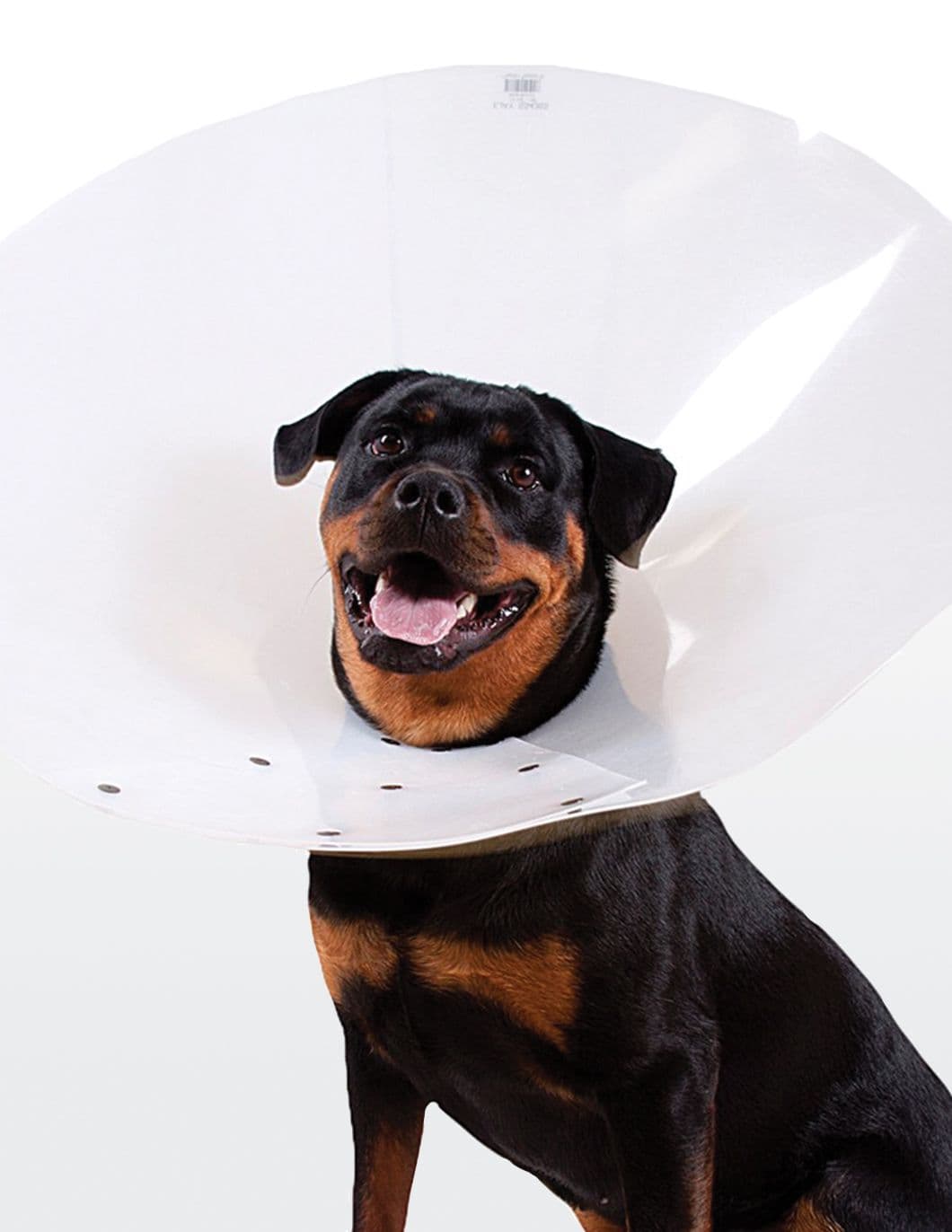 Pet E-Collars